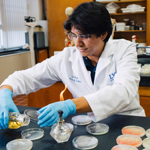 M.S. in biological sciences | Lynn University